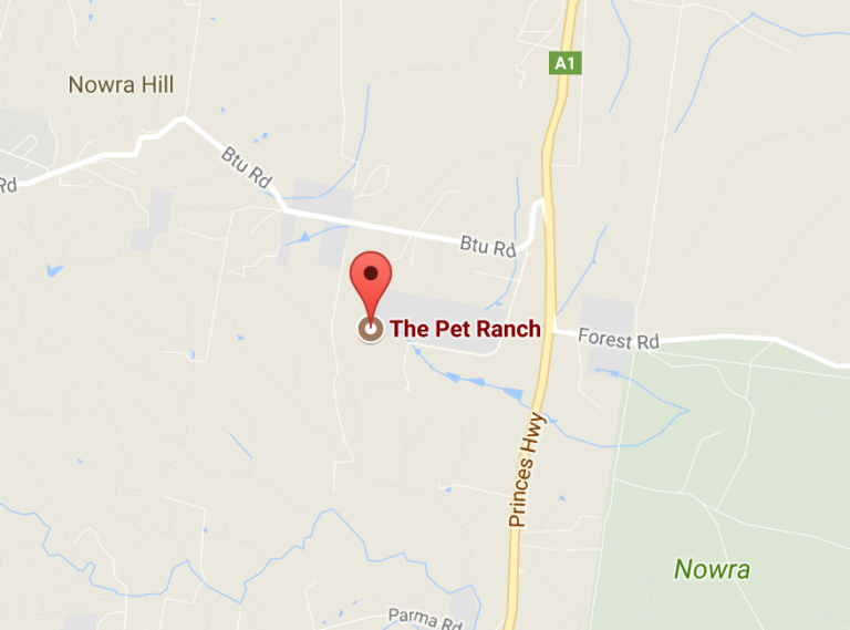 Contact Us | The Pet Ranch